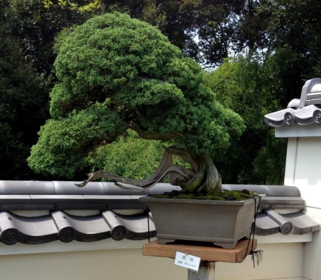 Nihon de Hajimete, Part 3: Shinpukuji Temple and Aichien | Japanese ...